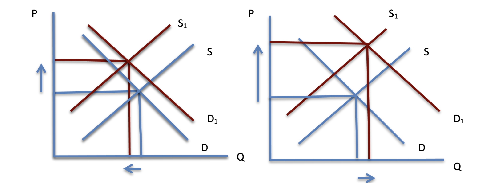 Shocks – Size and Elasticity – AGRC 113.3 | Agri Food Issues and ...