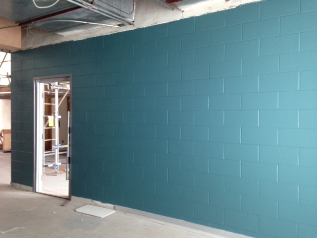 Vet Med Library Reno The Walls Are Painted | Branchingout