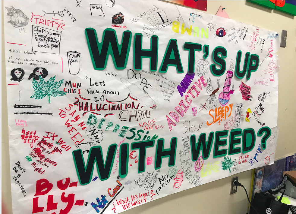 Progress | Real Education About Cannabis and Health (REACH)