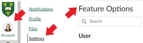 Tools | Canvas Tips For Students