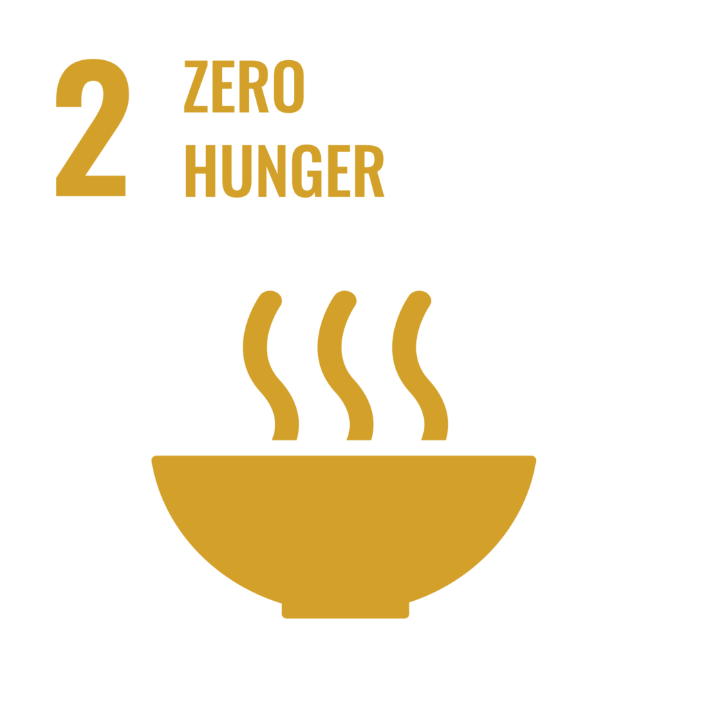 SDG 2 Zero Hunger – Embedding the Sustainable Development Goals in ...