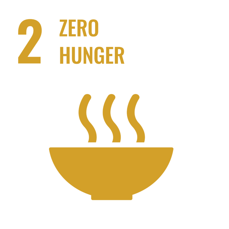 SDG 2 Zero Hunger – Embedding the Sustainable Development Goals in ...