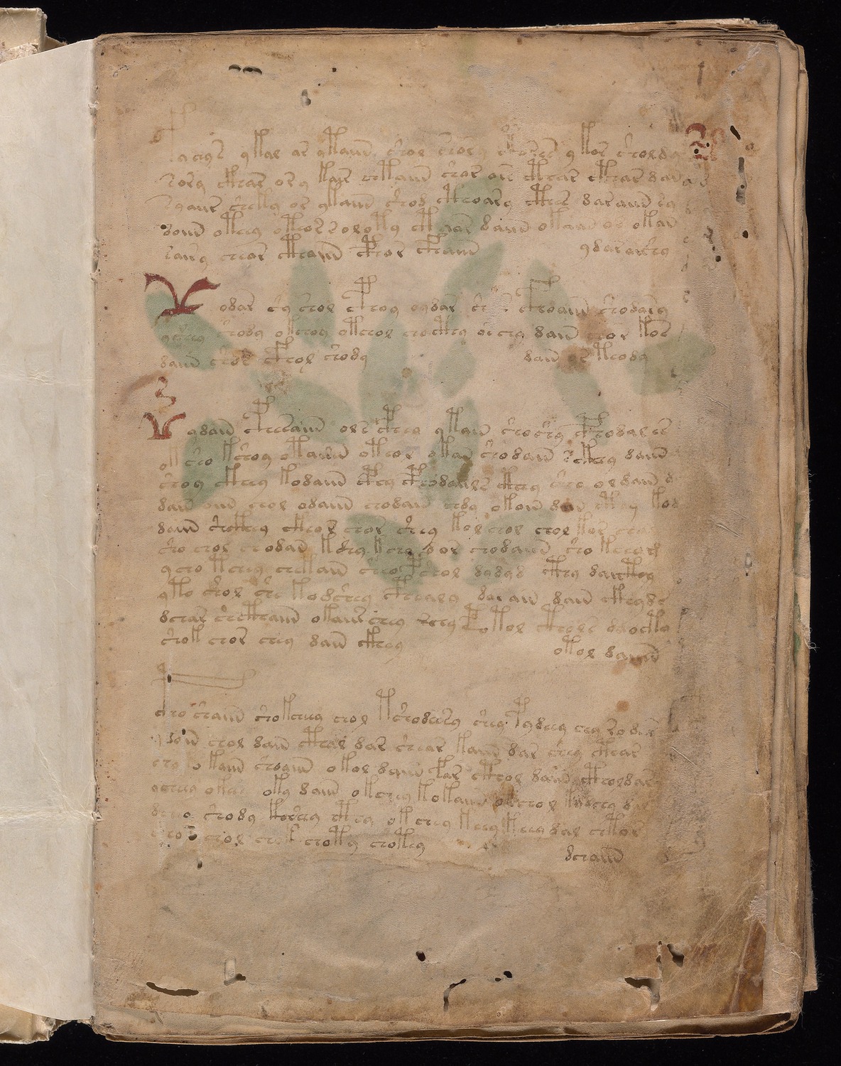 Into the Unknown: The Voynich Manuscript « History and Future of the ...