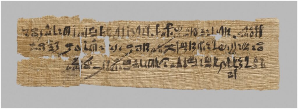 The Rise and Fall of Papyrus « History and Future of the Book 2018