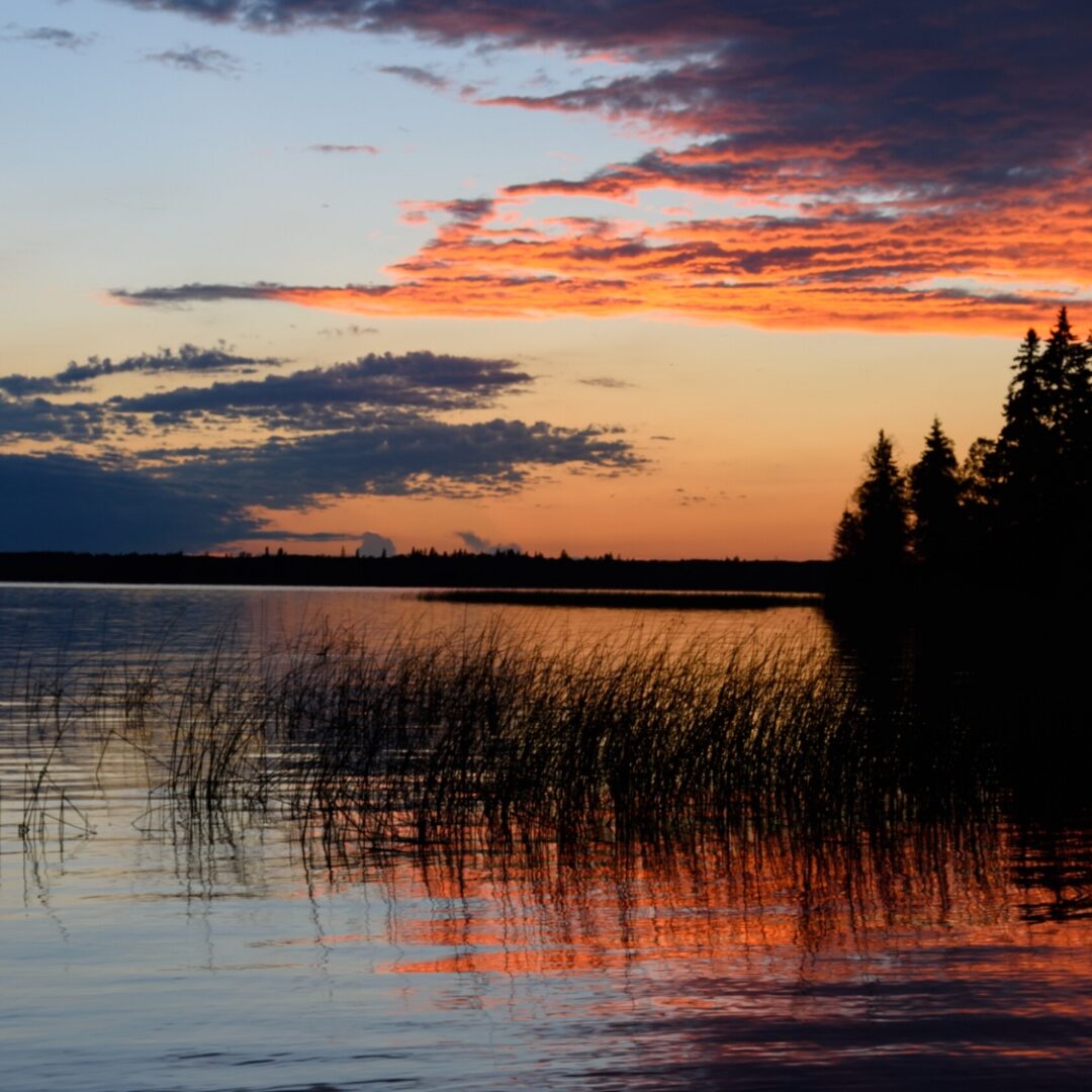 EMMA LAKE – Lake Stewards Resources