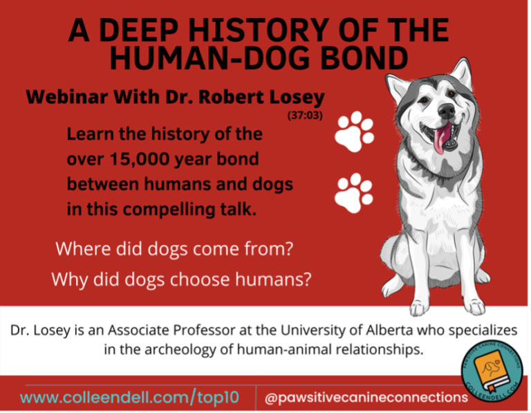 Module 1: Introduction to the Course – Being an Informed Therapy Dog ...