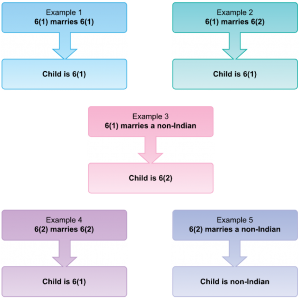 Module 5: The Indian Act – POLS 222.3 | Indigenous Governance and Politics